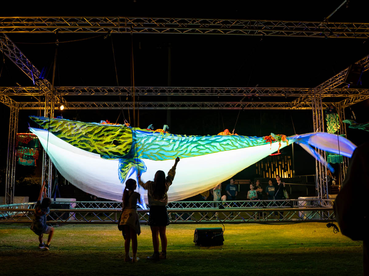 Cairns Festival - The 5 Stages of Falling in Love With Cairns Festival